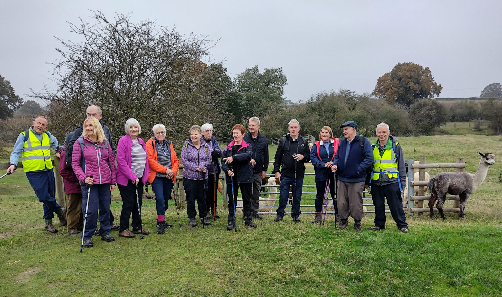Ramblers - Balsall Common