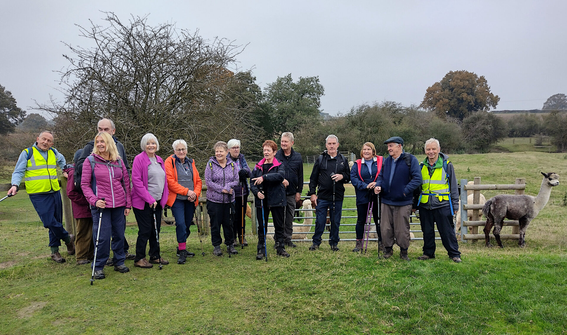 Ramblers - Balsall Common